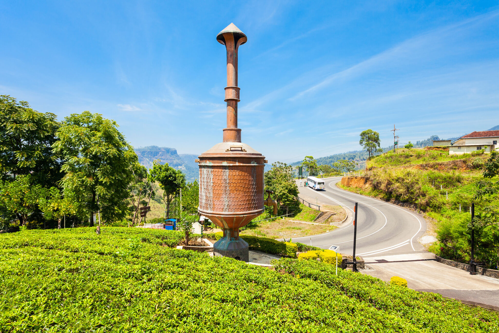 Discover Sri Lanka's Ceylon Tea: Plantations & Culture