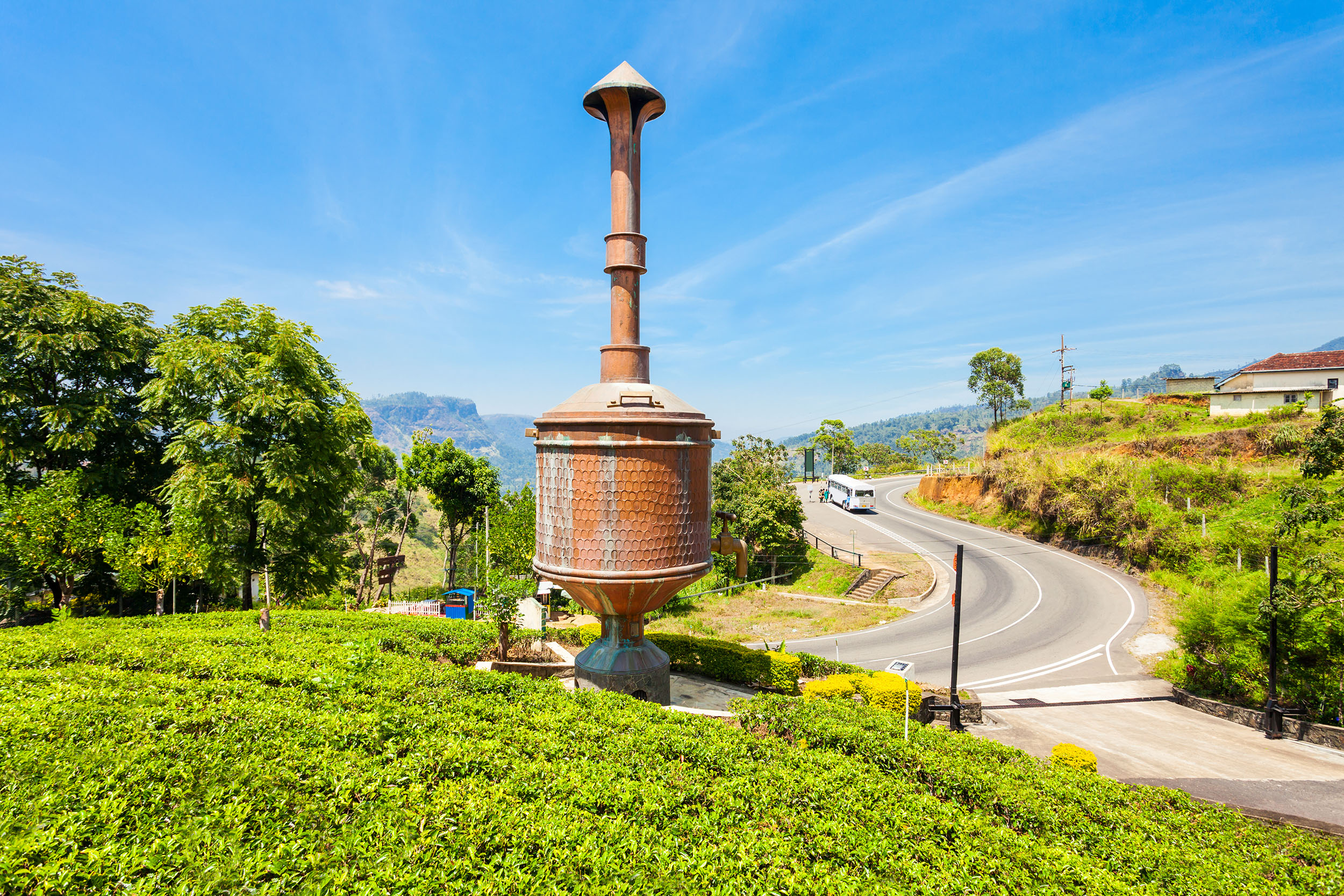 Discover Sri Lanka's Ceylon Tea: Plantations & Culture